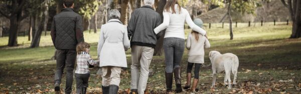 The Sanctuary | Ferne Animal Sanctuary