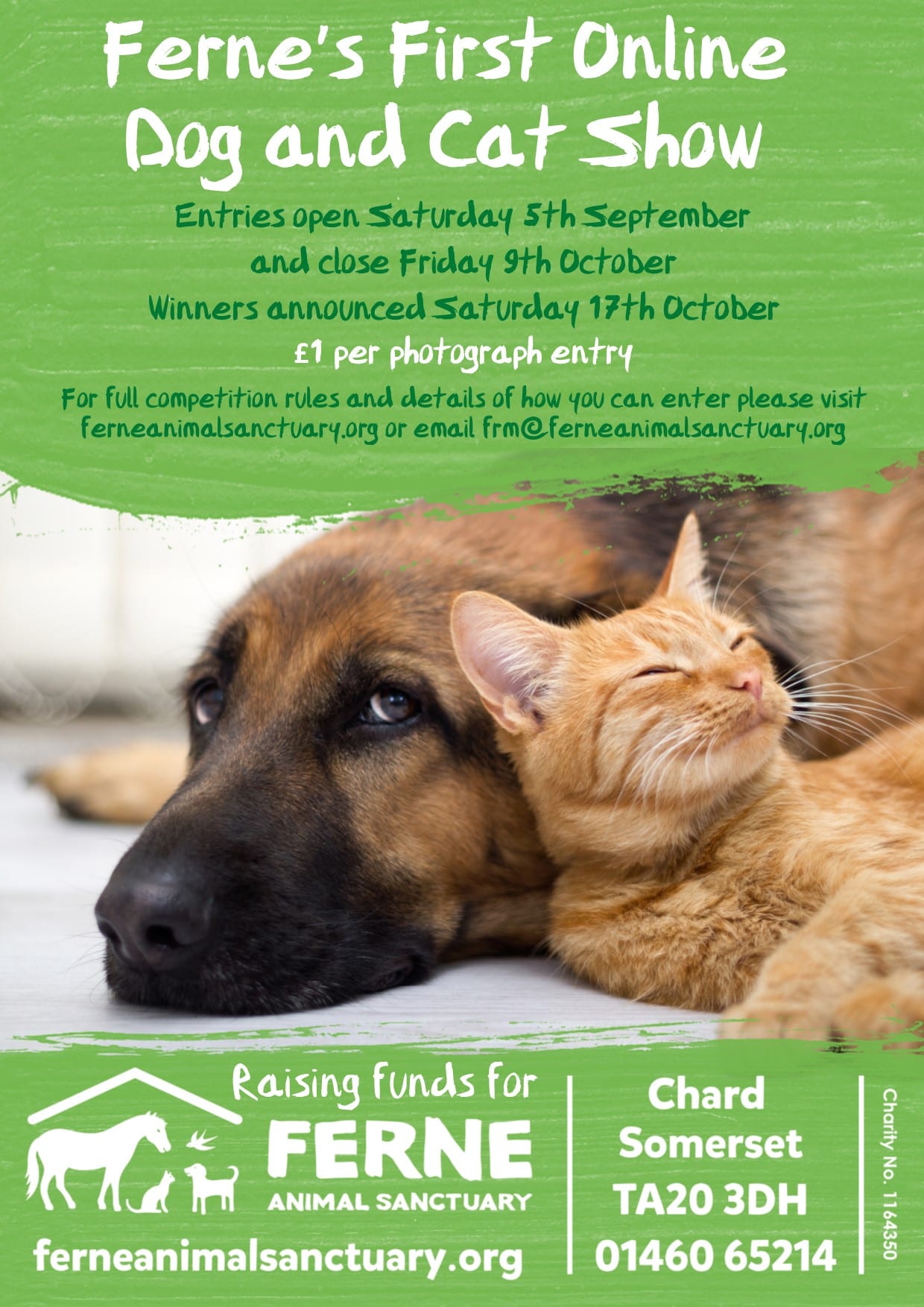 Online Show Dog Classes Winners Ferne Animal Sanctuary Online Show Dog Classes Winners Ferne Animal Sanctuary