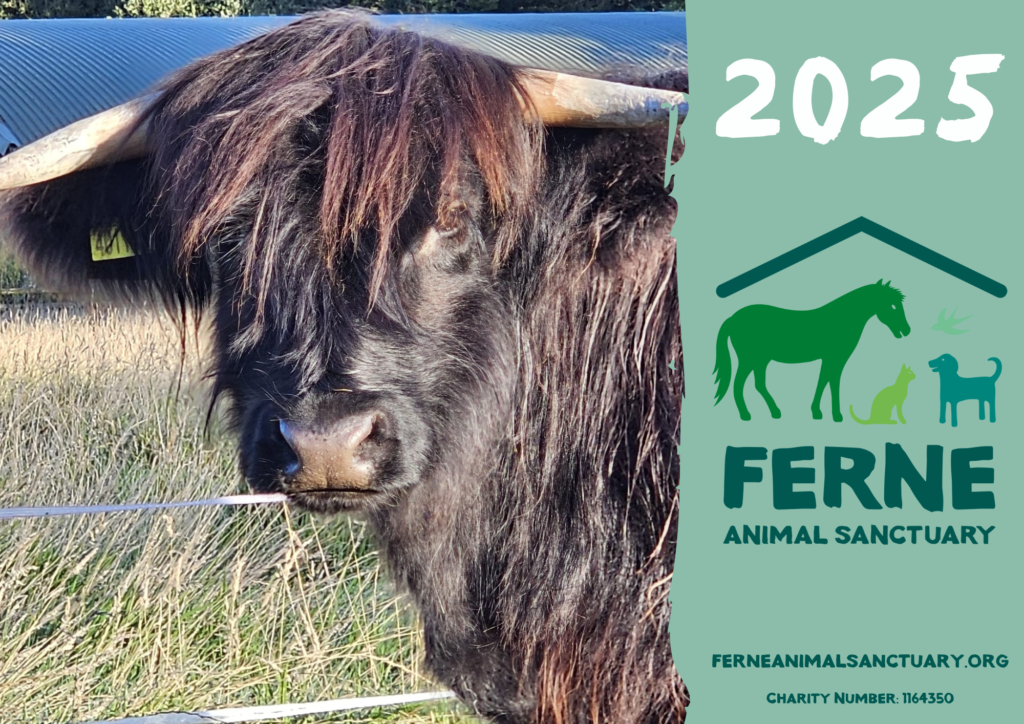 2025 Ferne Calendar | Buy & Shop Online at Ferne Animal Sanctuary