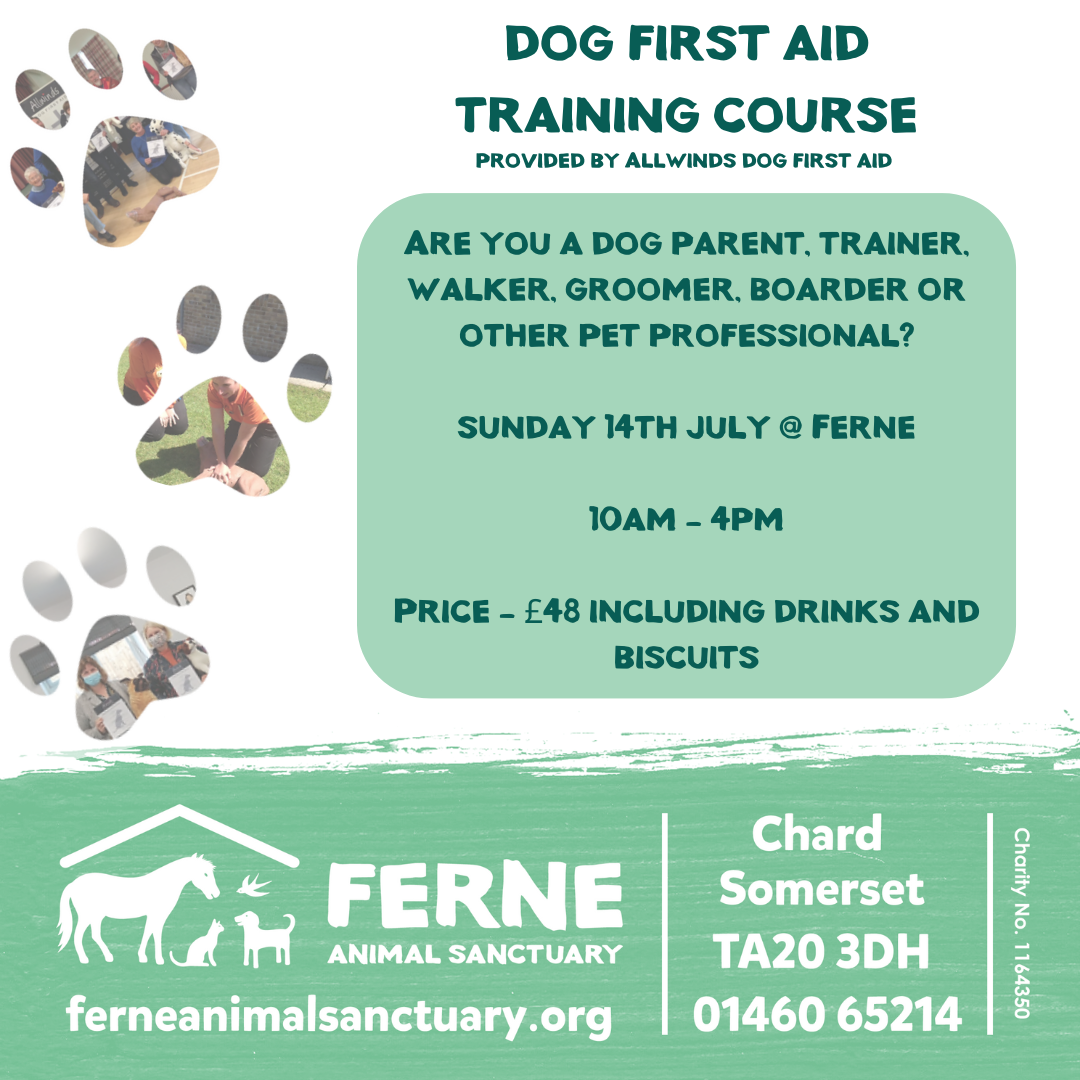 Dog First Aid Course | Buy & Shop Online at Ferne Animal Sanctuary