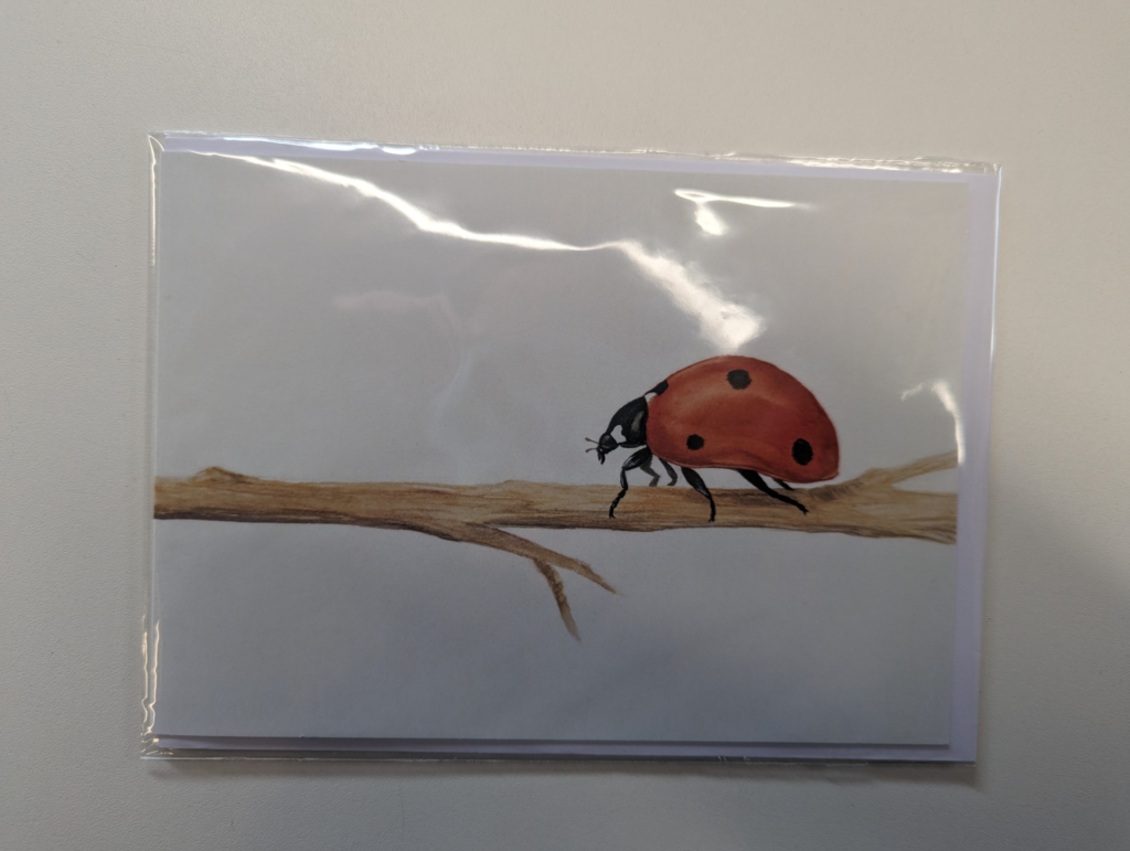 Ladybird card | Buy & Shop Online at Ferne Animal Sanctuary