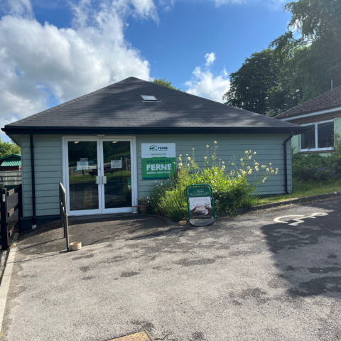 Home | Ferne Animal Sanctuary