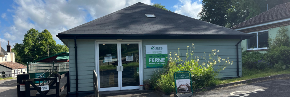 Visit The Sanctuary | Ferne Animal Sanctuary