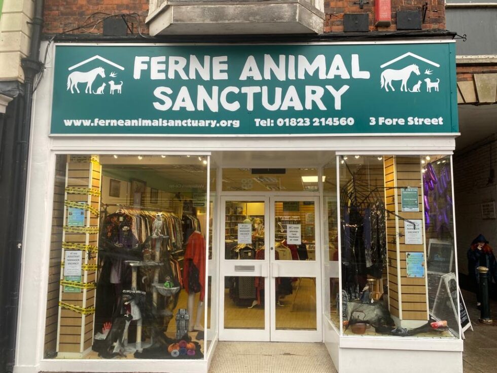 Wellington Charity Shop | Ferne Animal Sanctuary