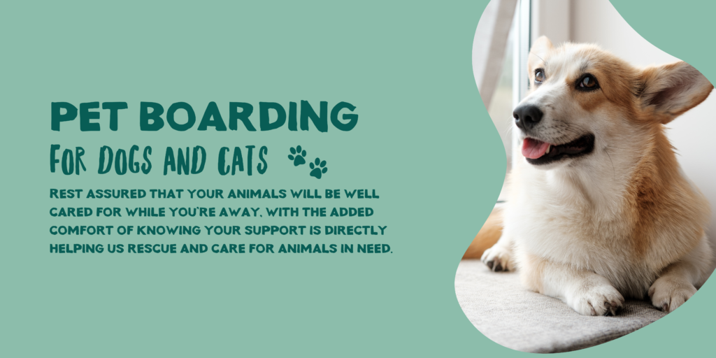 Pet Boarding | Ferne Animal Sanctuary