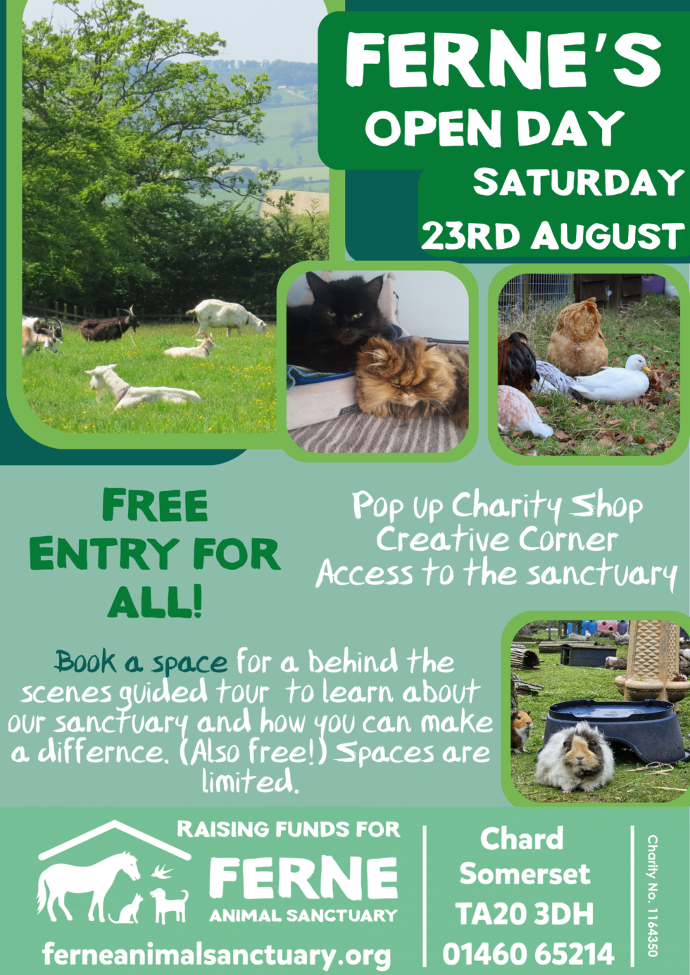Events and What's On | Ferne Animal Sanctuary