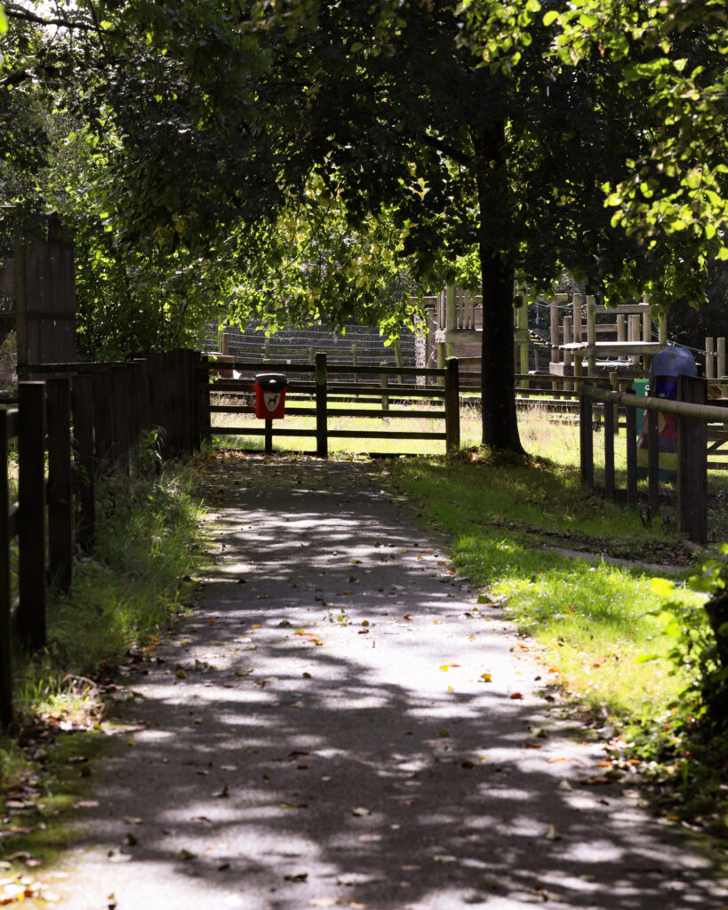 Celebrating 50 years at our Wambrook home | Ferne Animal Sanctuary